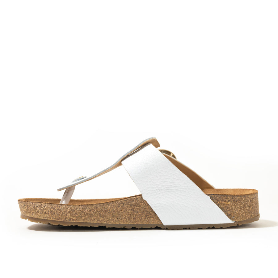 ROUND CORRINA - WHITE - LEATHER – Plaza Shoe Store